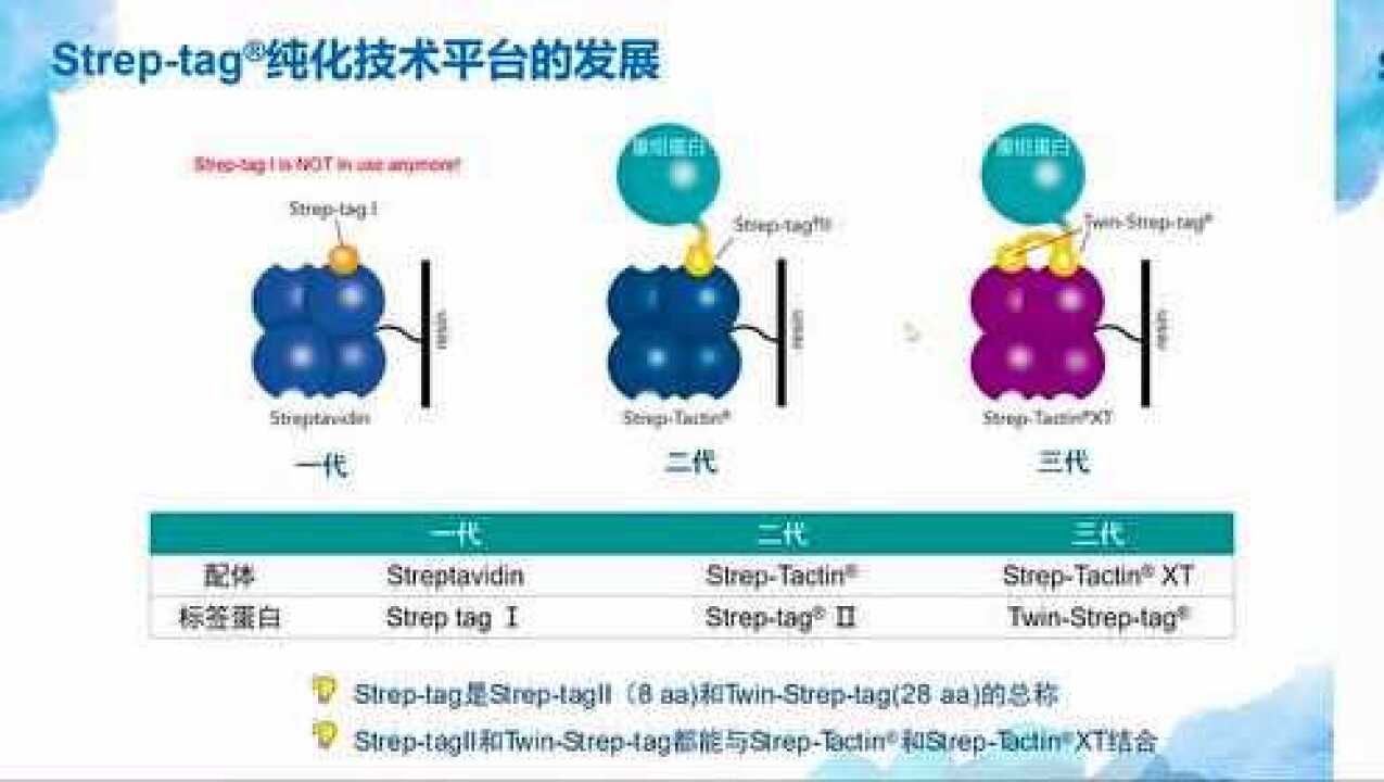 IBAstrep-tag®蛋白纯化产品_高清1080P在线观看平台_腾讯视频