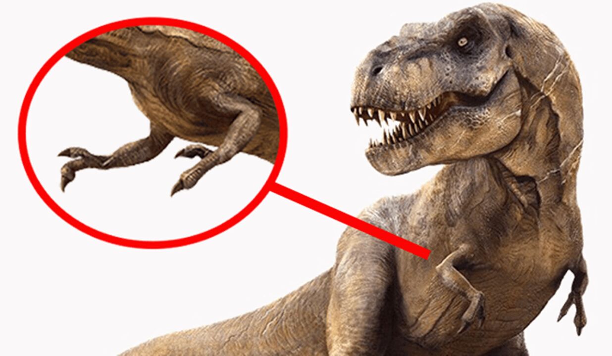 为什么凶猛的霸王龙长着一双小短手？古生物学家：求偶的时候用来拥抱的！_高清1080P在线观看平台_腾讯视频