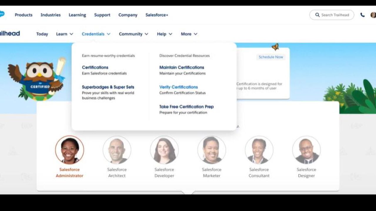 验证Salesforce认证VerifyaProfessional_腾讯视频}
