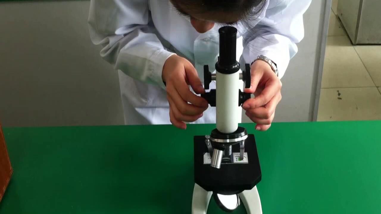 用显微镜观察人血永久涂片_腾讯视频