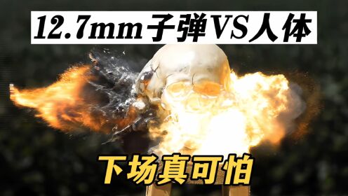 12.7mm子弹的威力有多恐怖？30000帧慢镜头揭秘它恐怖的破坏力_高清1080P在线观看平台_腾讯视频