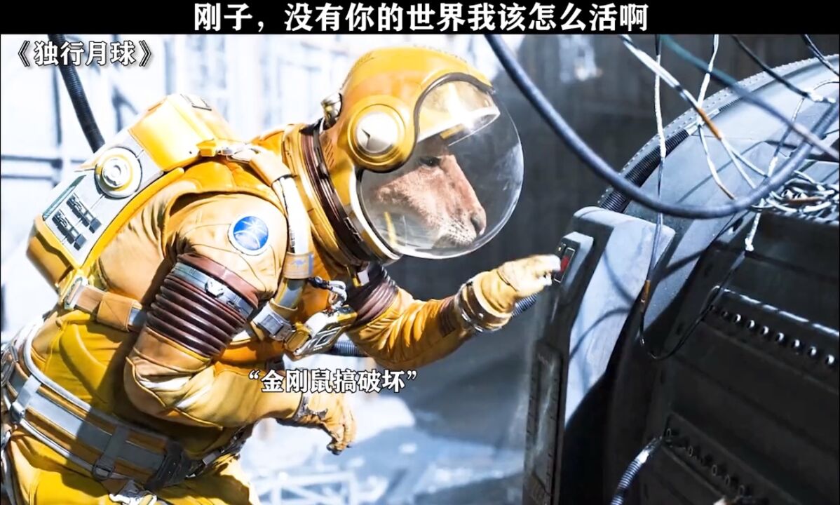 有沈腾得电视剧就有欢笑_高清1080P在线观看平台_腾讯视频
