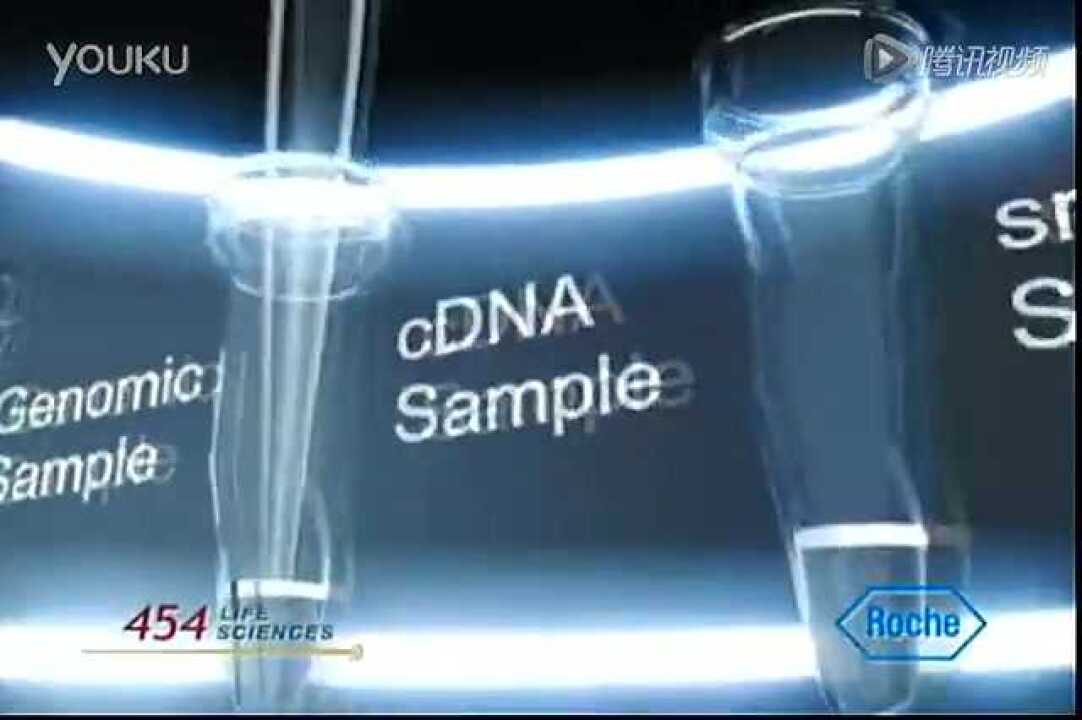 Roche454高通量测序原理标清_高清1080P在线观看平台_腾讯视频
