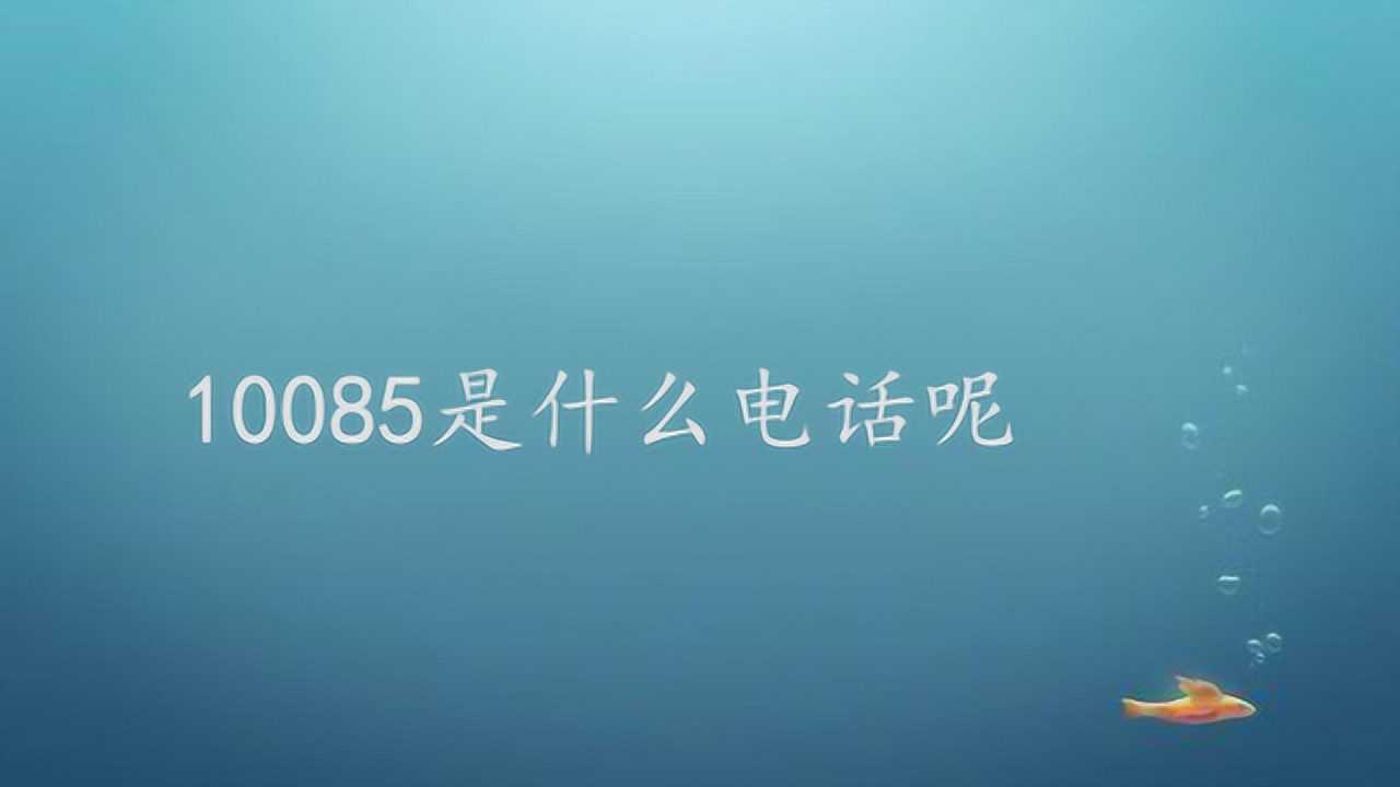 10085是什么电话呢_高清1080P在线观看平台_腾讯视频