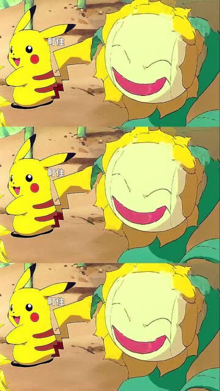 精灵宝可梦：皮卡丘和大家玩捉迷藏，第一次知道波克比隔着蛋壳挠痒痒_高清1080P在线观看平台_腾讯视频