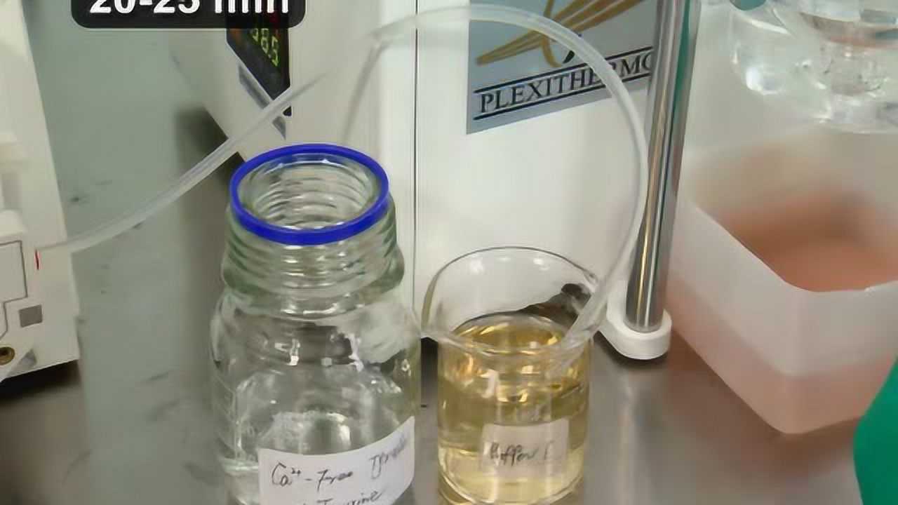 ionoptix心肌细胞收缩与钙离子浓度同步测量系统_高清1080P在线观看平台_腾讯视频