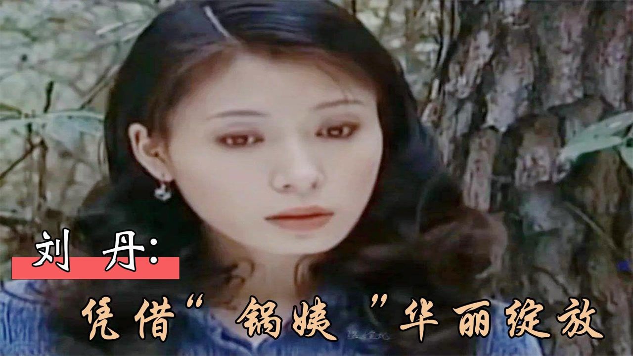 刘丹:用心打磨演技,凭借“锅姨”华丽绽放 腾讯视频