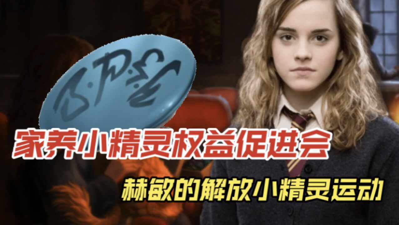 《哈利波特》霍格沃茨魔法史——家养小精灵权益促进会_高清1080P在线观看平台_腾讯视频