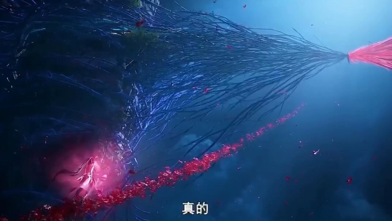 唐三小舞的爱情一路走来很不容易 见证了太多太多了_腾讯视频