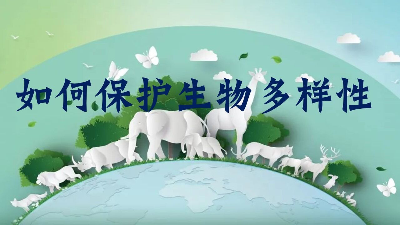 如何保护生物多样性高清1080p在线观看平台腾讯视频