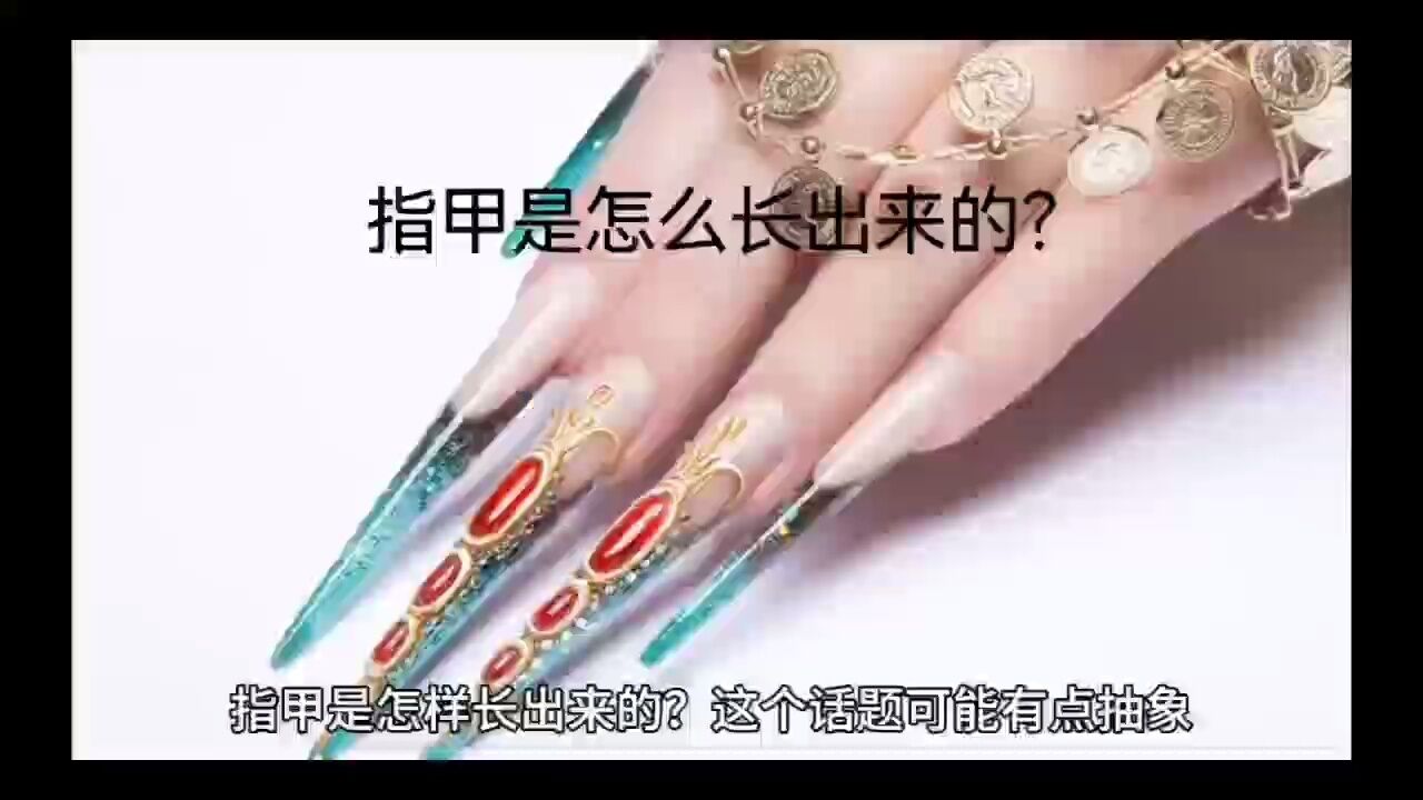 指甲是怎样长出来的？腾讯视频