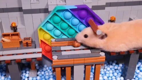 乐趣无穷：仓鼠探险蓝色海洋球_高清1080P在线观看平台_腾讯视频