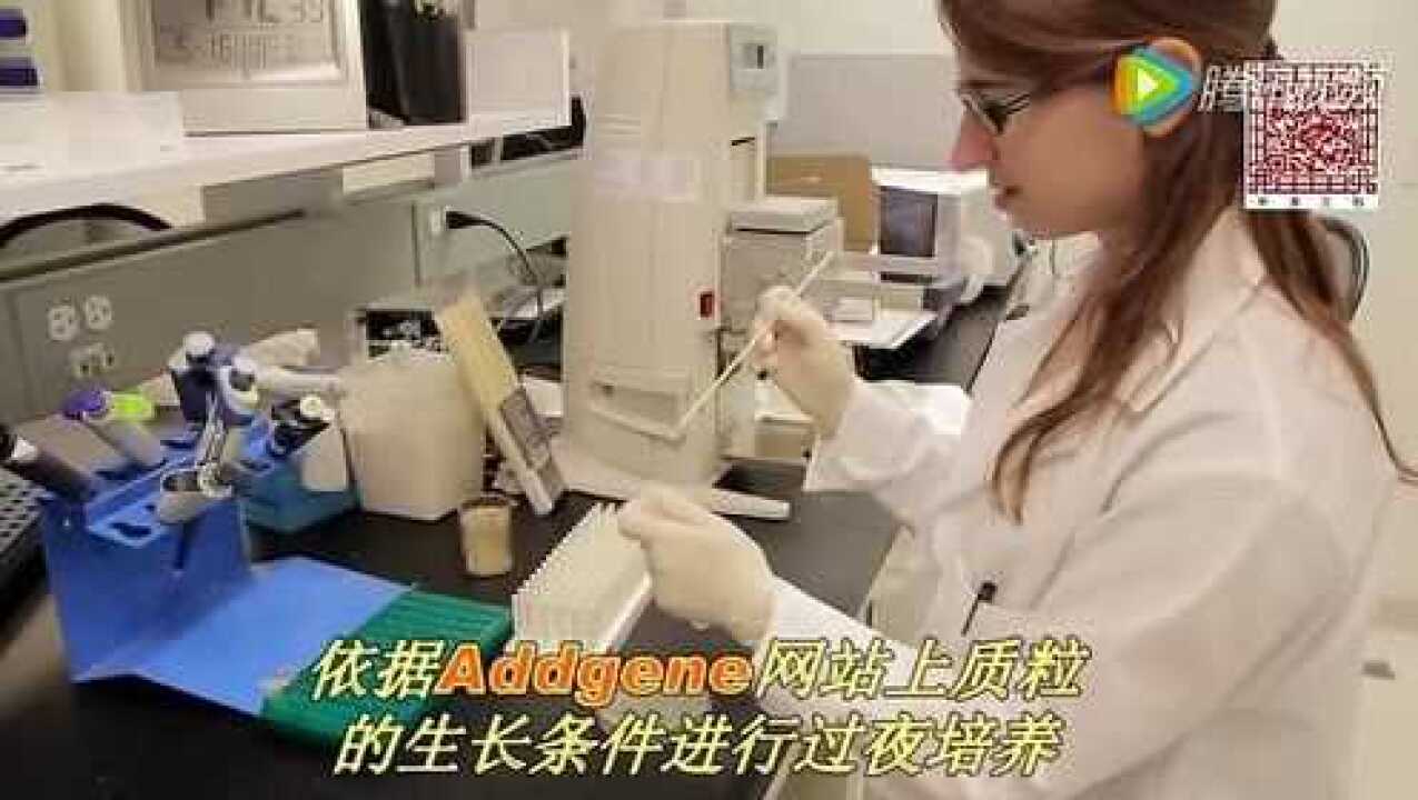 手把手教你如何保存和使用Addgene质粒_高清1080P在线观看平台_腾讯视频