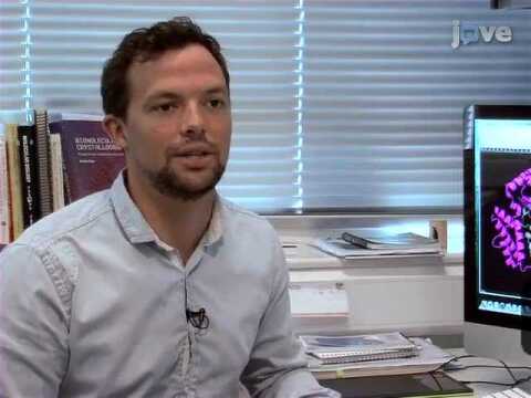 293F悬浮细胞表达重组蛋白_腾讯视频