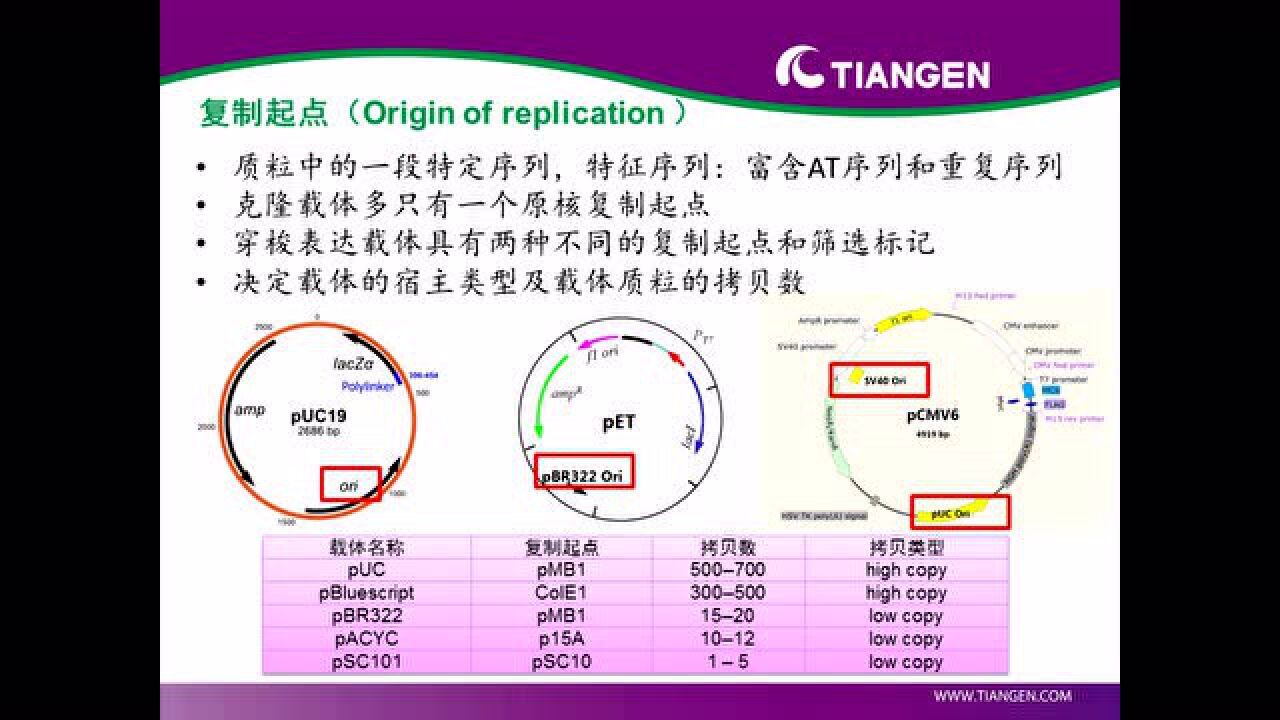 【TIANGEN公开课】四点四步快速读懂质粒图谱_高清1080P在线观看平台_腾讯视频