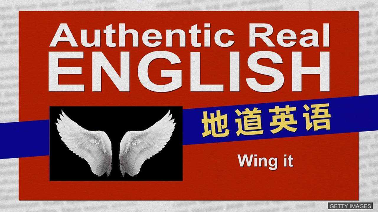 Wing it 的意思是“扇翅膀”吗？_高清1080P在线观看平台_腾讯视频