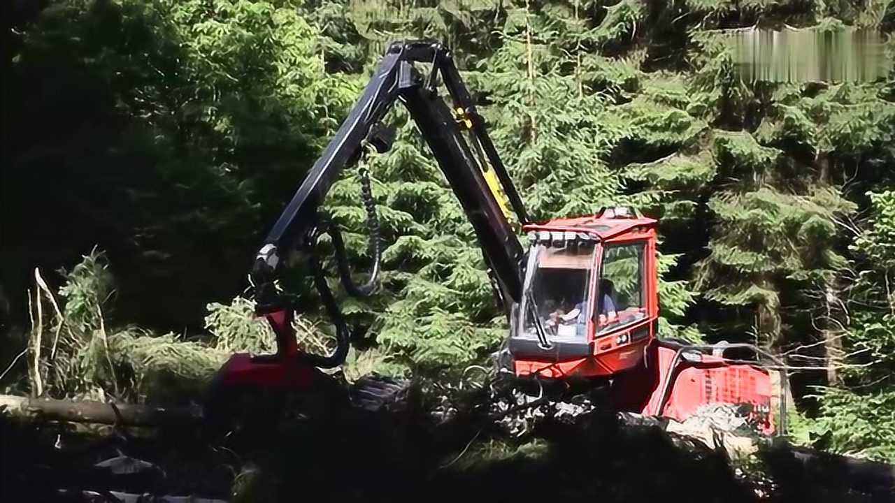 机械百科：小松伐木机工作视频，看这操作比开挖掘机还复杂_腾讯视频