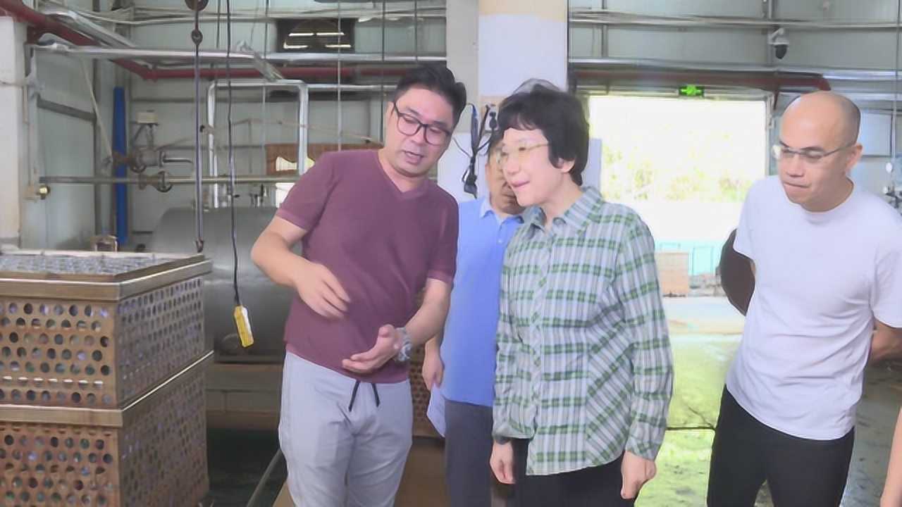 马勇霞率省政协调研组到我市调研_高清1080P在线观看平台_腾讯视频
