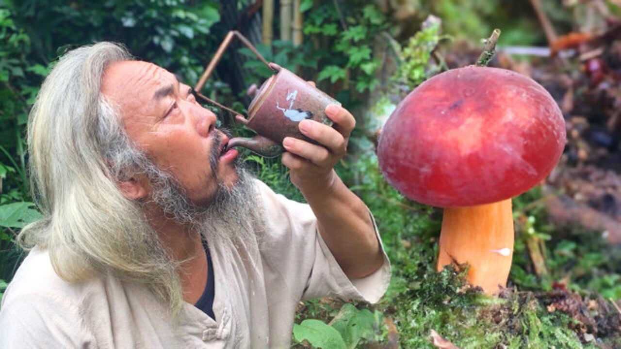 魏老深山采红蘑菇，拿回家直接晒干，加上米和蒜炒着吃_高清1080P在线观看平台_腾讯视频