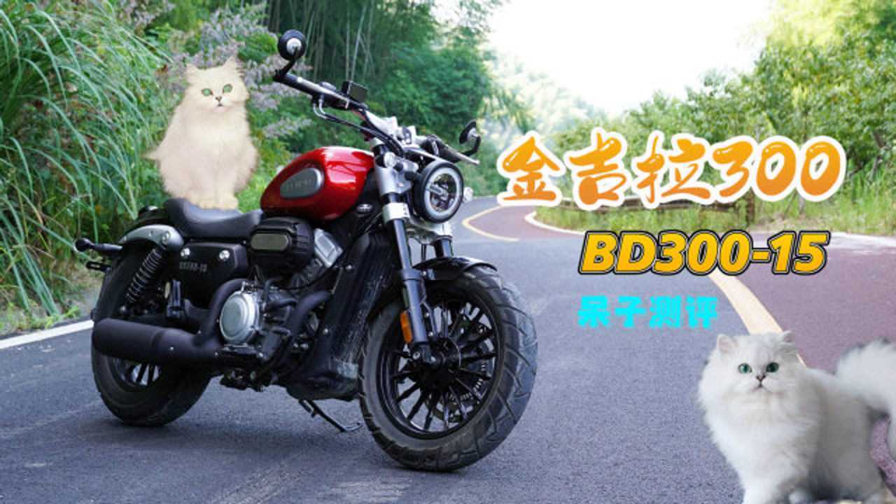 呆子测评|奔达金吉拉300，骑士网呆子测评_高清1080P在线观看平台_腾讯视频