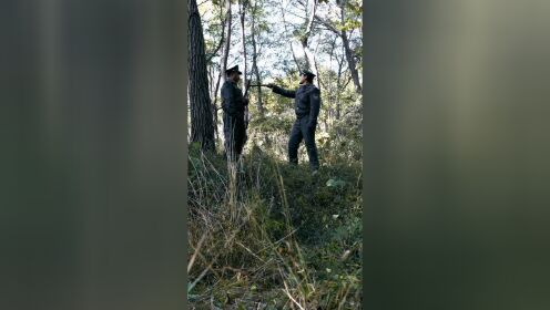 女尸被发现，地上还有一枚被遗落的婚戒..._高清1080P在线观看平台_腾讯视频