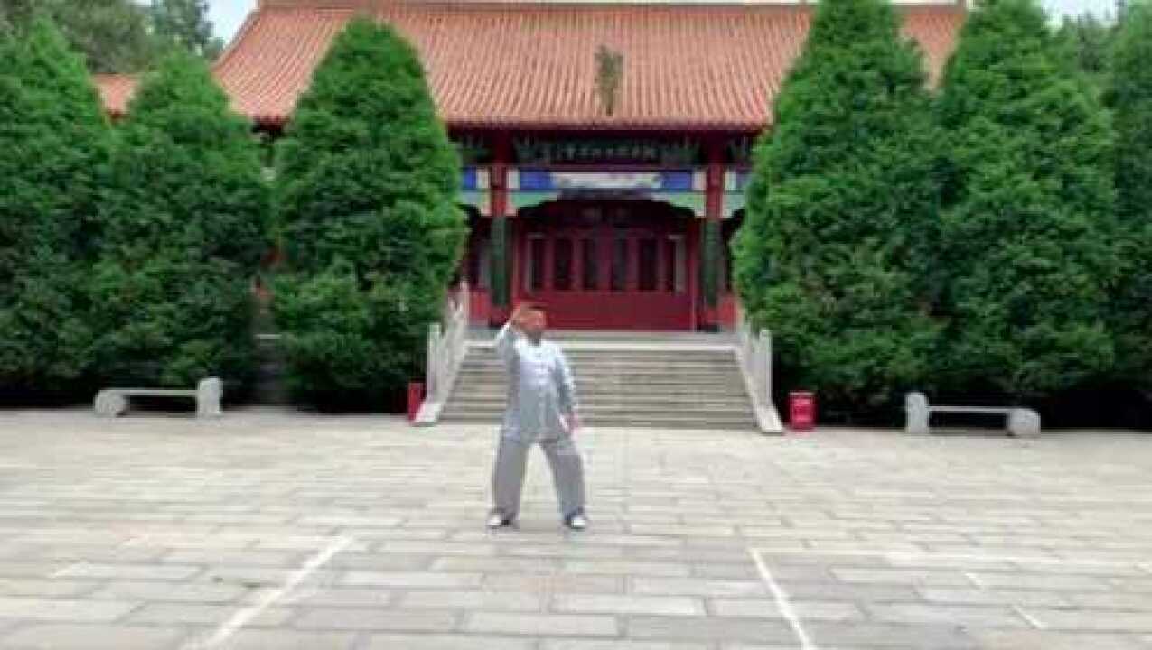 马虹太极传人--张海军陈式太极拳演练_腾讯视频