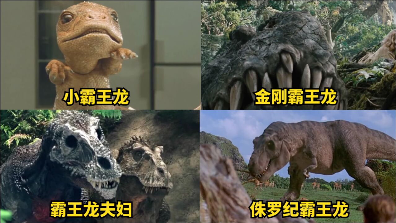 电影中的霸王龙，小霸王龙从小被女孩领养，金刚霸王龙吃人不眨眼#电影HOT短视频大赛#_高清1080P在线观看平台_腾讯视频