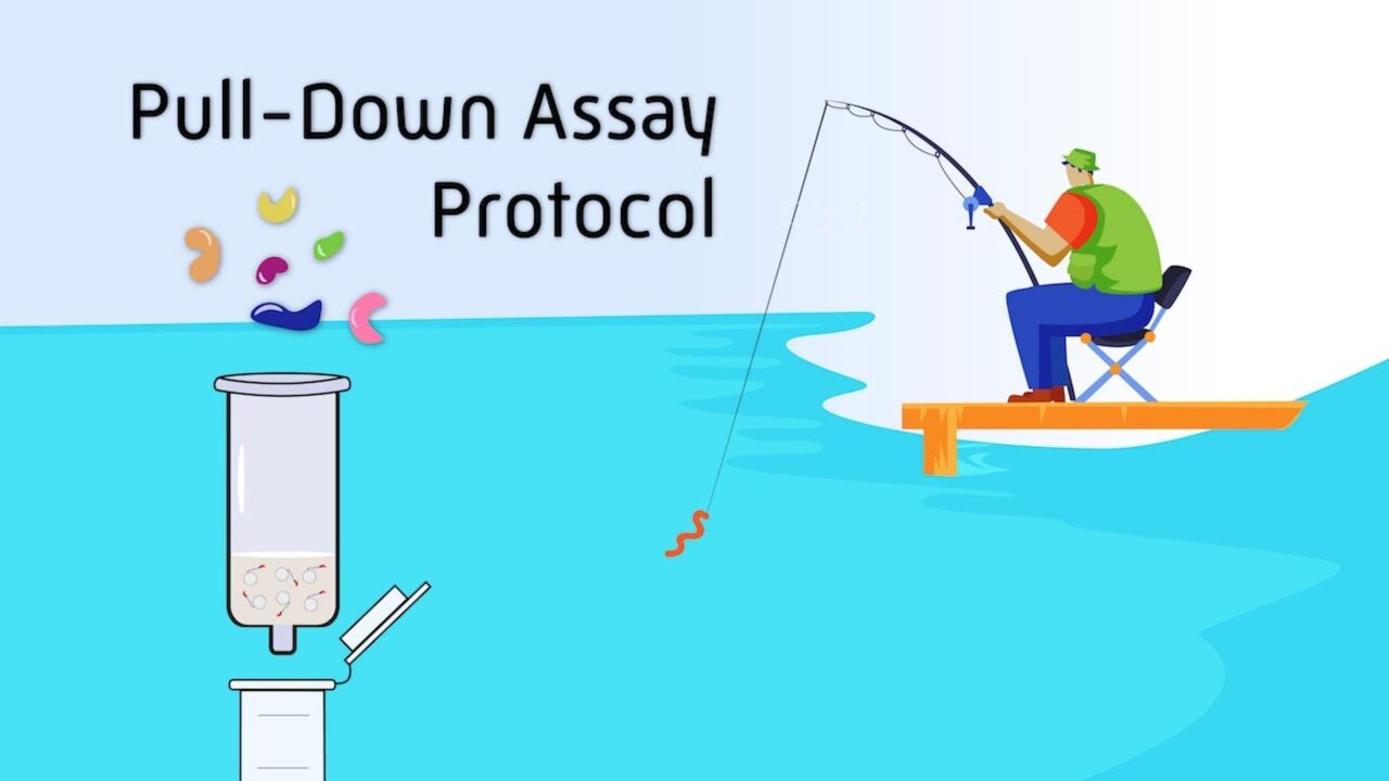 Pull-down实验技术交流——唯问生物Justscience_腾讯视频