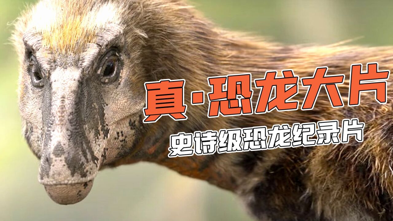 史前霸王龙,霸王龙霸气_大山谷图库