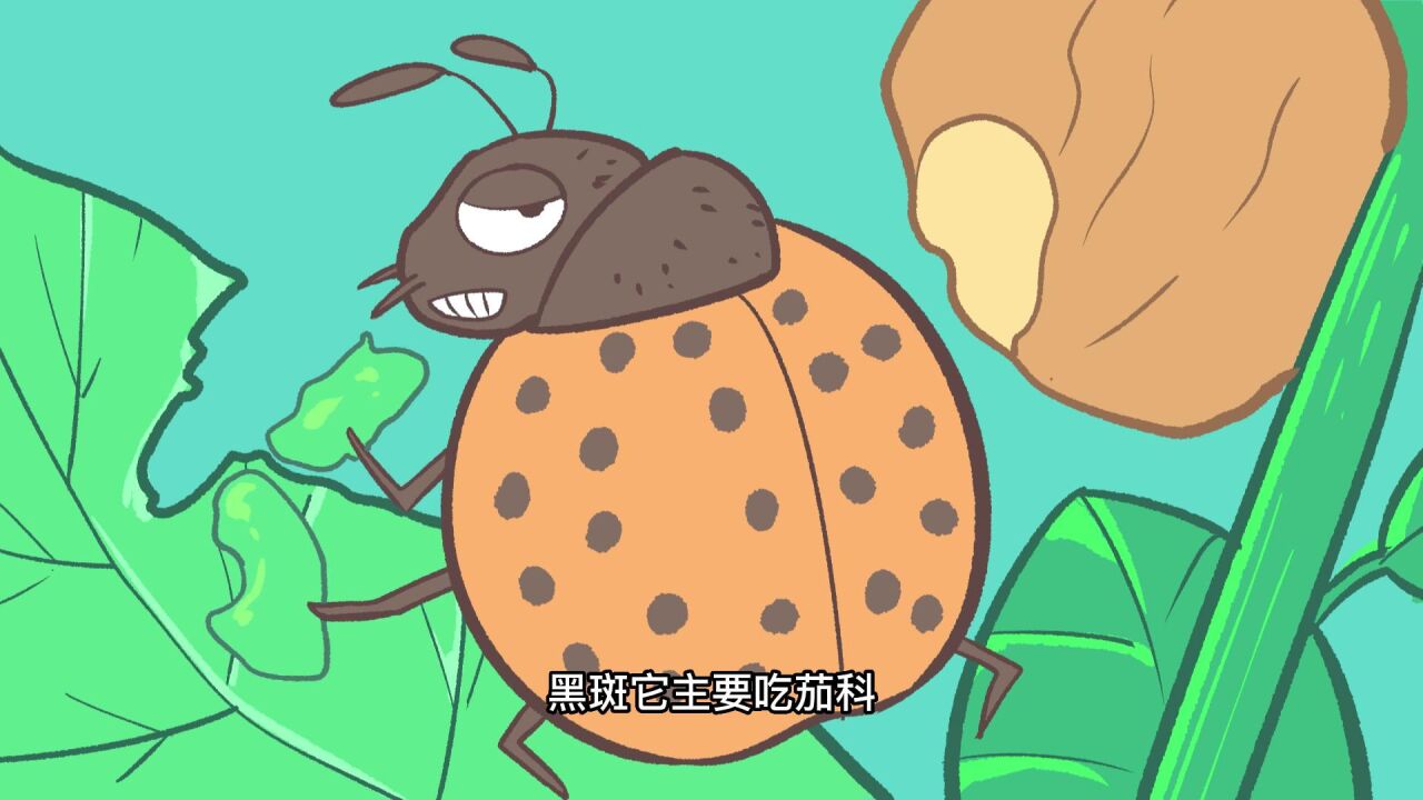 为什么七星瓢虫是益虫？_腾讯视频