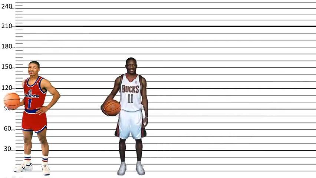 NBA球员身高对比_腾讯视频