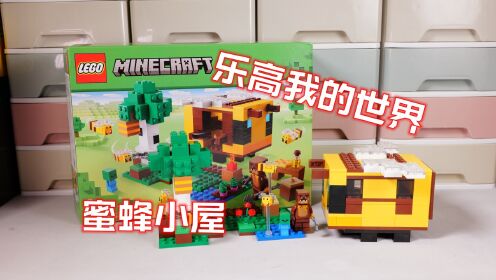 乐高搭建：乐高我的世界21141蜜蜂小屋评测，新人仔登场_高清1080P在线观看平台_腾讯视频