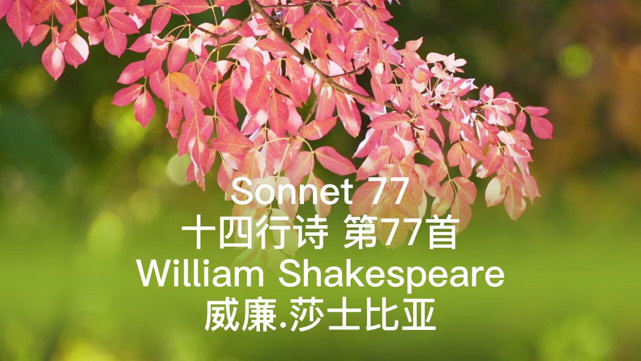 莎士比亚十四行诗第77首Sonnet77byWilliamShakespeare_高清1080P在线观看平台_腾讯视频