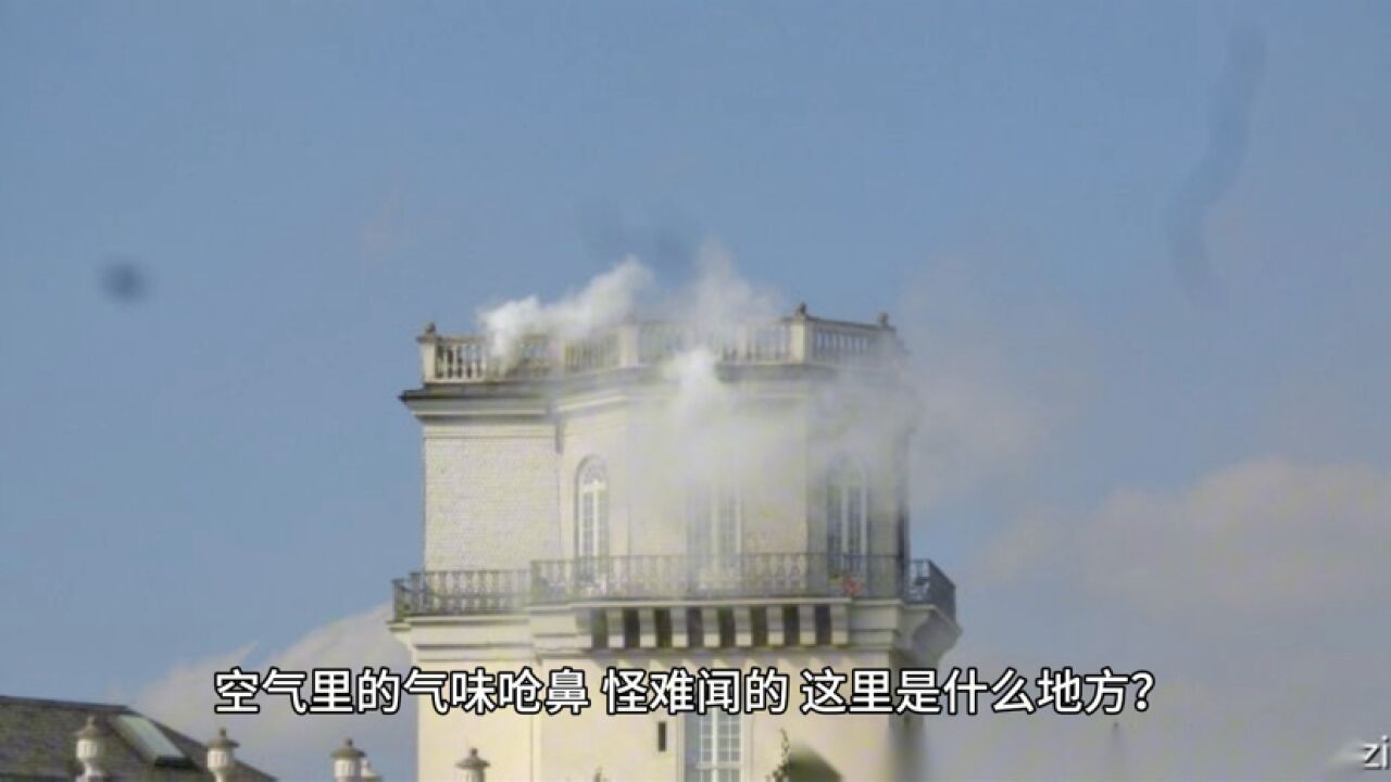 古言《夫人千岁》柳祎蒋宗沛小说无删减版_高清1080P在线观看平台_腾讯视频