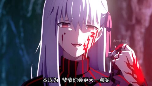 fate系列：圣杯战争的起源_高清1080P在线观看平台_腾讯视频