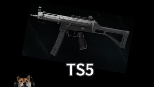 【暗区突围】比MP5还要省钱的枪，TS5_高清1080P在线观看平台_腾讯视频