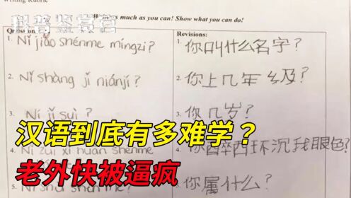 老外学中文被逼疯！为什么汉语是世界上最难学的语言？看完爽了_高清1080P在线观看平台_腾讯视频