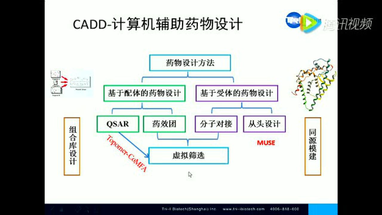 SYBYL-X教学视频（五）——TopomerCoMFA基本操作_高清1080P在线观看平台_腾讯视频