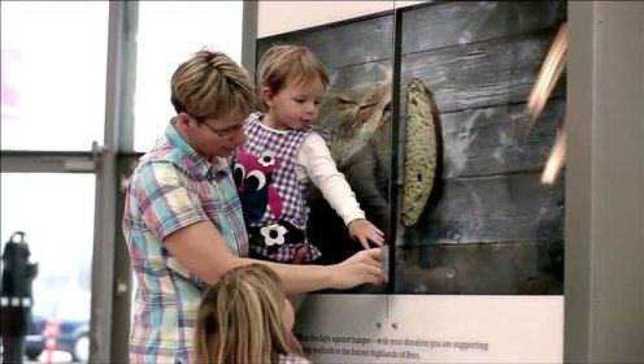 Misereor-TheSocialSwipe_高清1080P在线观看平台_腾讯视频