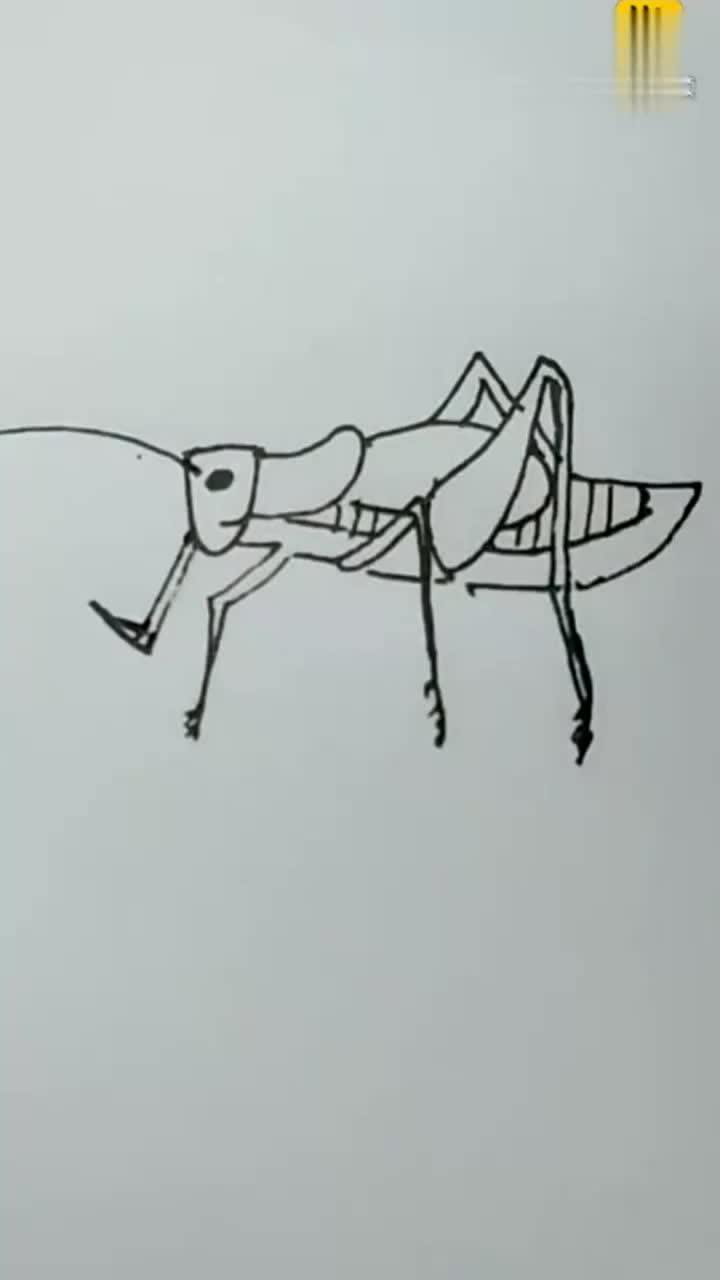 教你用写字笔画简笔画《蝈蝈》_腾讯视频