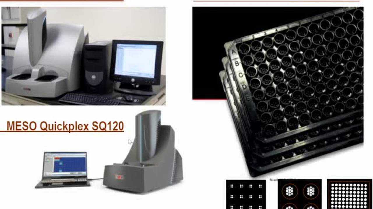 MSD 电化学发光在疫苗及传染病研究中的应用_腾讯视频