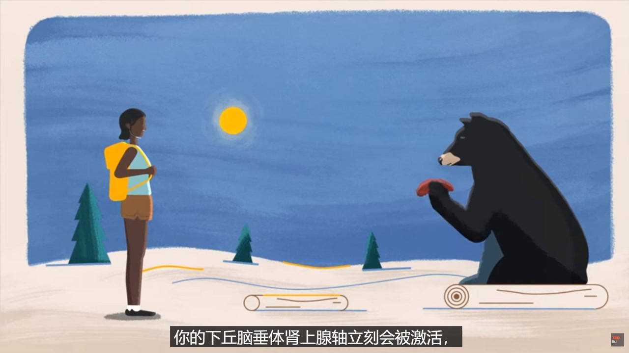 压力如何影响我们的大脑-TED系列动画短片_高清1080P在线观看平台_腾讯视频
