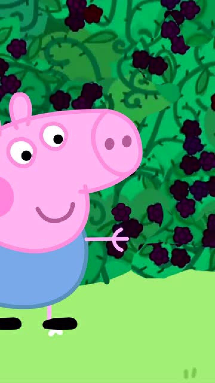 小猪佩奇把糖果藏起来，可是乔治咋带回一篮子蓝莓_高清1080P在线观看平台_腾讯视频