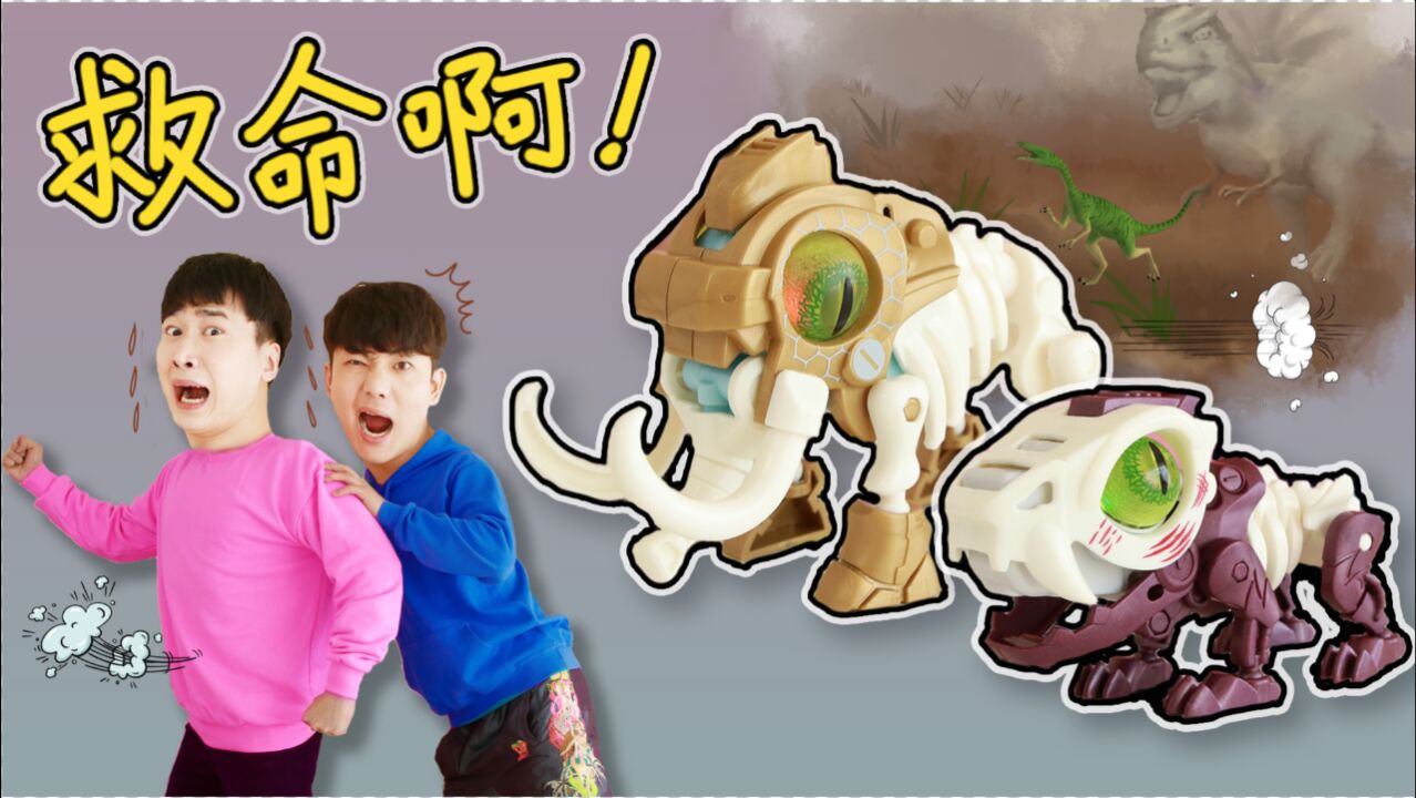 神奇的恐龙蛋盲盒！夜光的眼珠子！赫赫还被吓了一跳！_高清1080P在线观看平台_腾讯视频