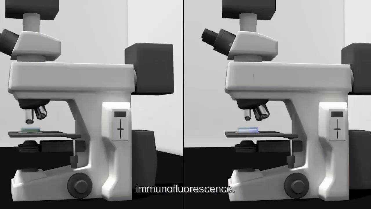 3D科普演示荧光显微镜工作原理，看完后涨姿势了_高清1080P在线观看平台_腾讯视频