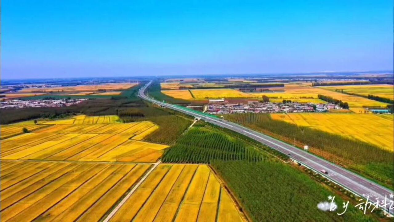 摄影类时代颂歌动科2203武滢_高清1080P在线观看平台_腾讯视频