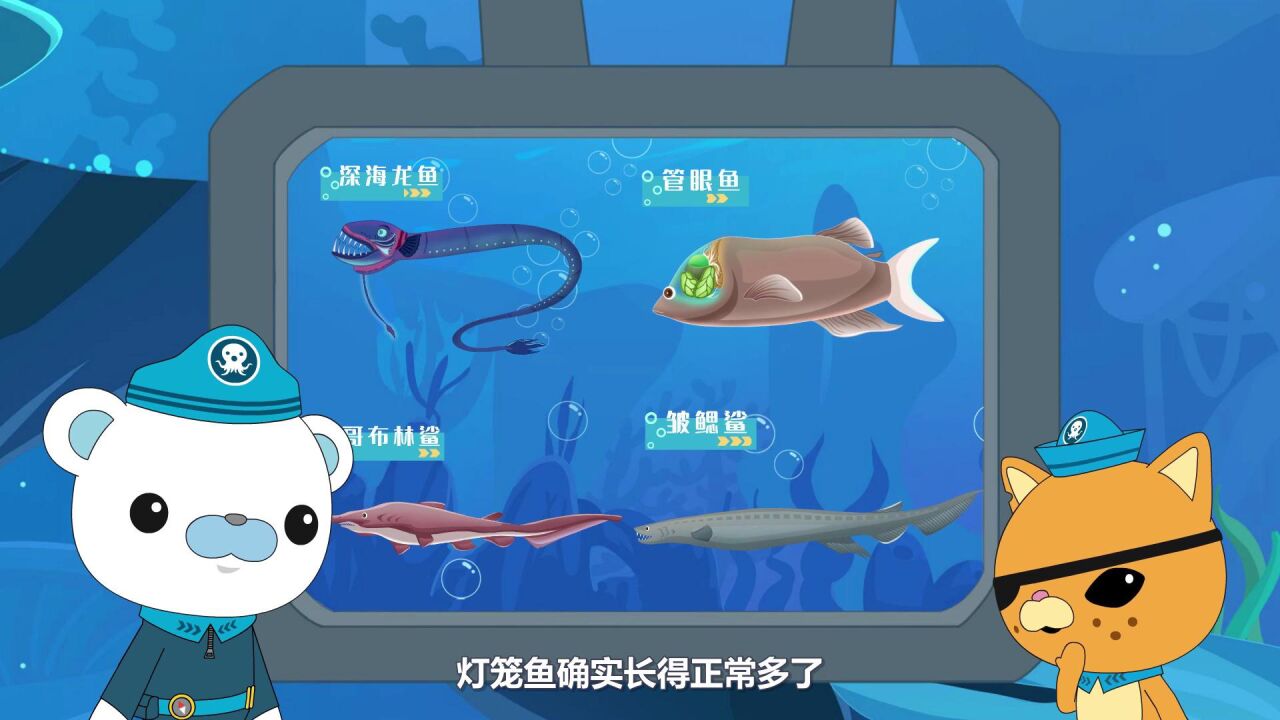 探索神秘海洋——地球上最深的马里亚纳海沟_高清1080P在线观看平台_腾讯视频