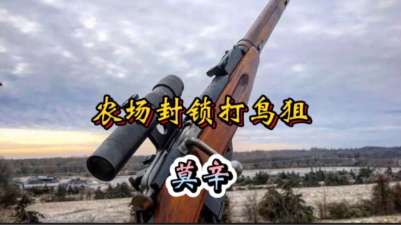 暗区突围鸟狙莫辛用出AX50的效果_高清1080P在线观看平台_腾讯视频