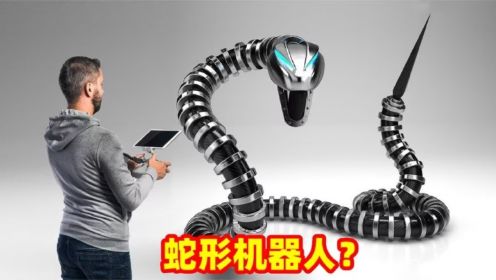 蛇形机器人？最有趣奇妙的仿生动物机器人_高清1080P在线观看平台_腾讯视频