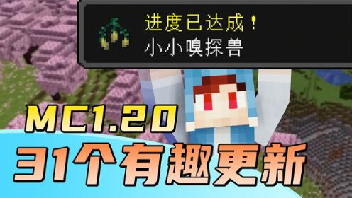 MC1.20最好玩的31个更新！（6）_高清1080P在线观看平台_腾讯视频